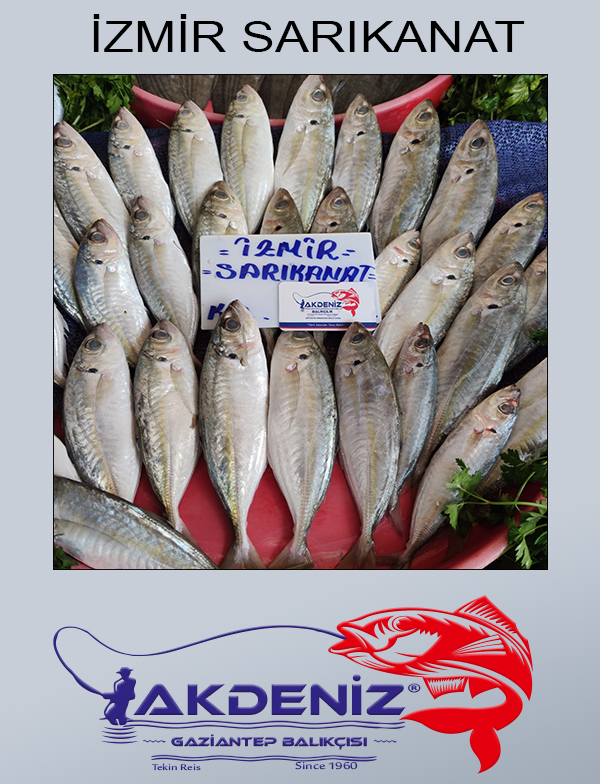 Balik çeşi̇tleri̇mi̇z